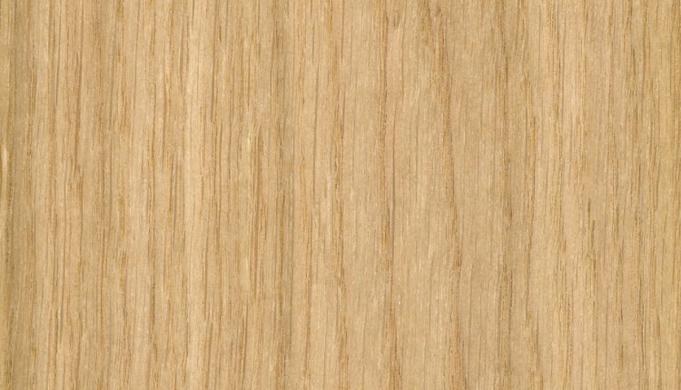 Europees Eiken - Raaymakers